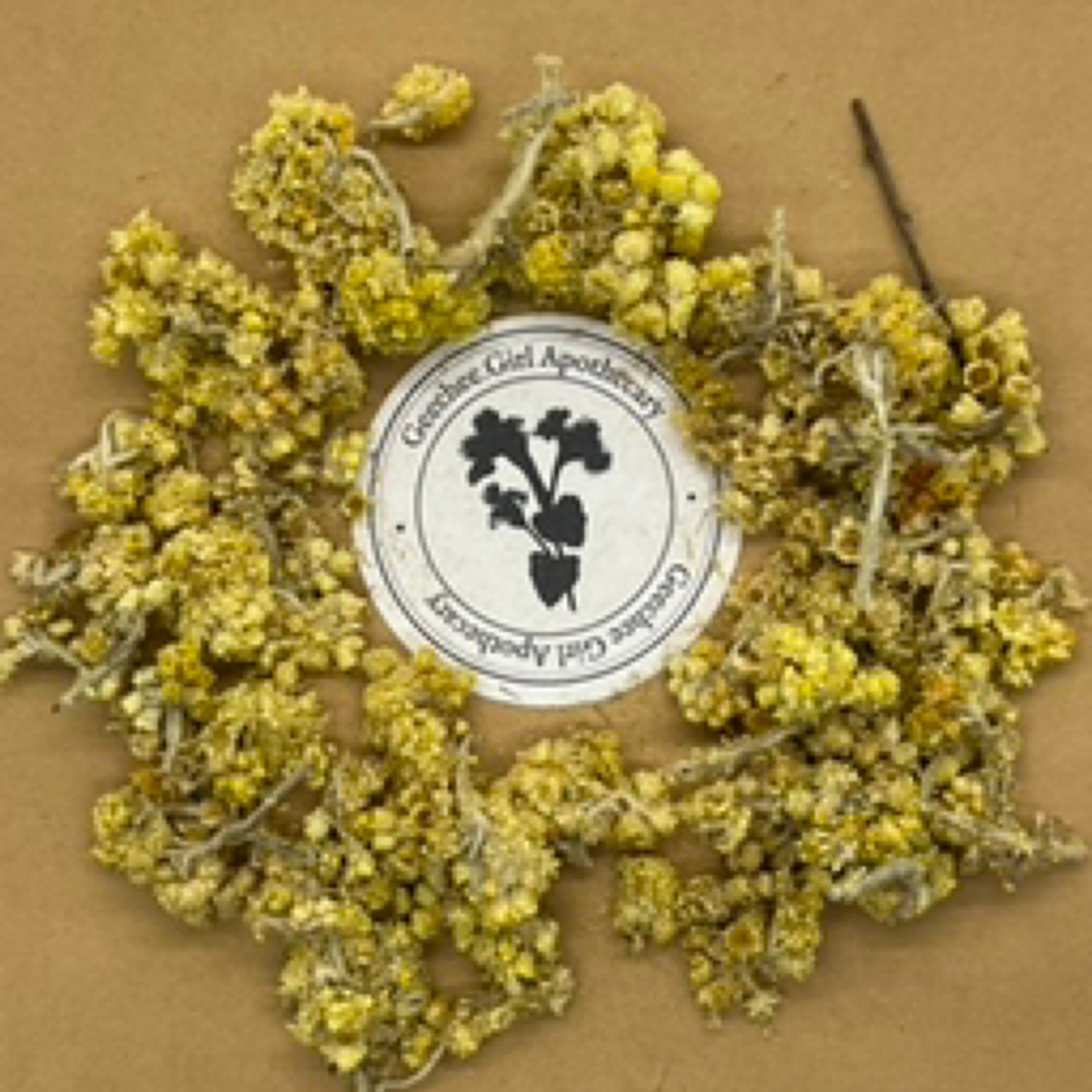 Helichrysum Flower (life everlasting) | Geechee Girl Tea